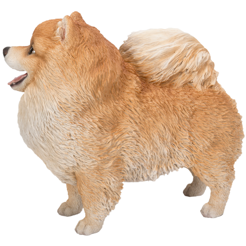 立つポメラニアン | 業者様向け・WooBia仕入れサイト｜アニマル雑貨・オーナメント